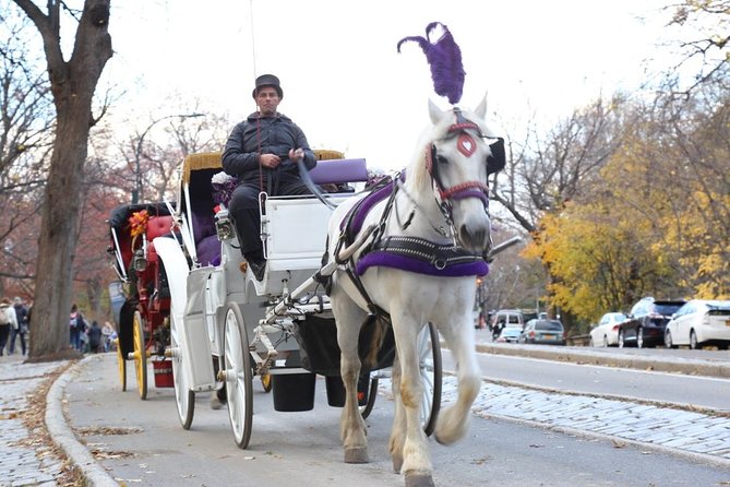 Horse Carriage Tour in New York City's Central Park Small Loop - Practical Details: Timing, Cost, and Comfort