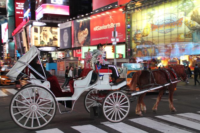 Horse Carriage Tour in New York City's Central Park Small Loop - What Previous Travelers Say