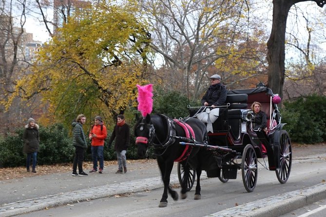 Horse Carriage Tour in New York City's Central Park Small Loop - The Sum Up: Who Will Love This Tour?