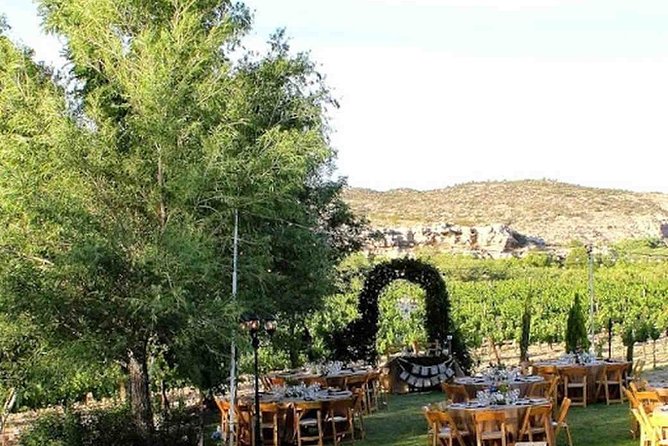 Horse Country Estate and Vineyard Wine Tasting Tour - Key Points