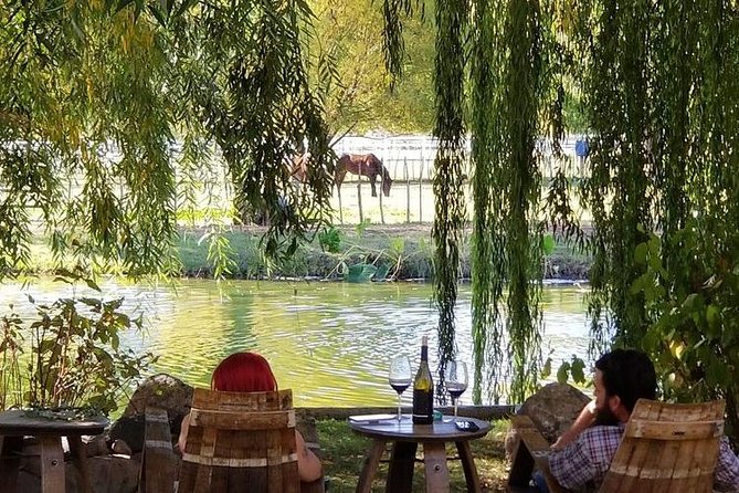 Horse Country Estate and Vineyard Wine Tasting Tour - Is This Tour Worth the Price?
