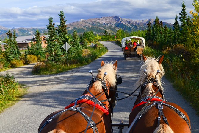 Horse-Drawn Covered Wagon Ride with Backcountry Dining - The Return and Additional Insights