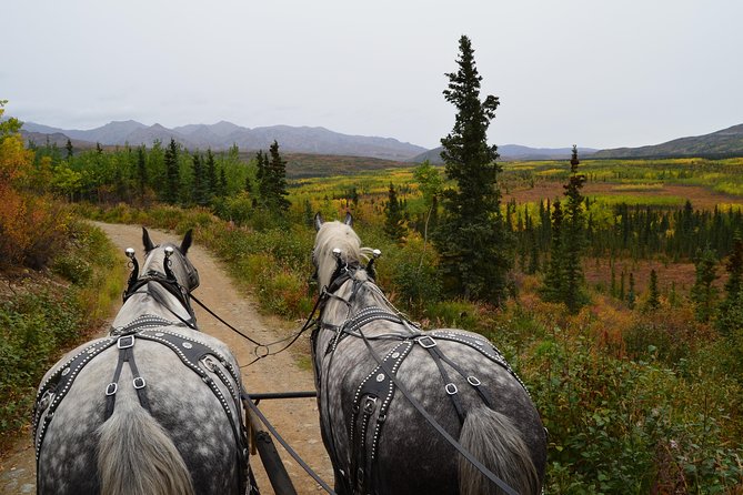 Horse-Drawn Covered Wagon Ride with Backcountry Dining - Final Thoughts