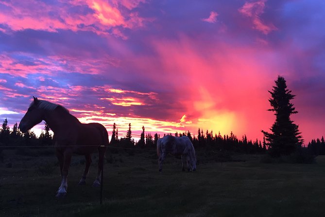 Horse-Drawn Covered Wagon Ride with Backcountry Dining - FAQ
