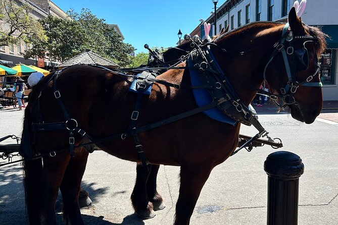 Horse Drawn Daytime Group Narrated Historic Overview Tour - Why This Tour Works for Different Travelers