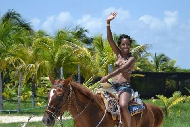 Horse Riding in Miami's Countryside - Pricing and Value