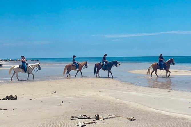Horse Riding Tour at the Beach in Miami - A Closer Look at the Horse Riding Tour in Miami