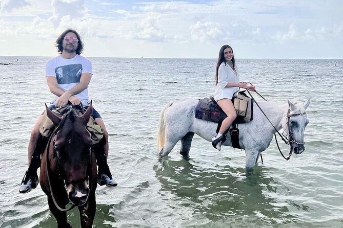 Horse Riding Tour at the Beach in Miami - What Makes This Tour Stand Out?