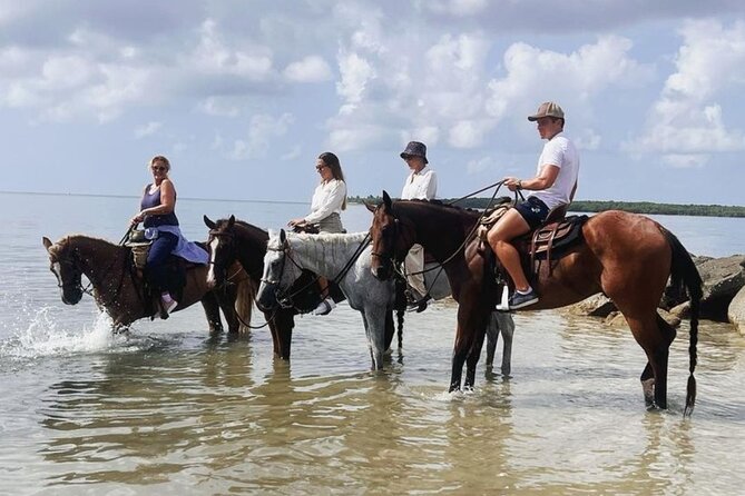 Horse Riding Tour at the Beach in Miami - FAQ