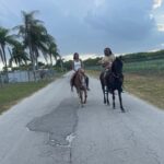 Horseback Experience in Miami - An In-Depth Look at the Horseback Experience in Miami