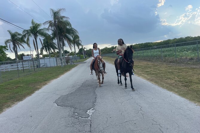 Horseback Experience in Miami - An In-Depth Look at the Horseback Experience in Miami