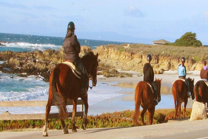 Horseback Ride & Alcatraz Prison Tickets - A Deeper Dive into the Experience