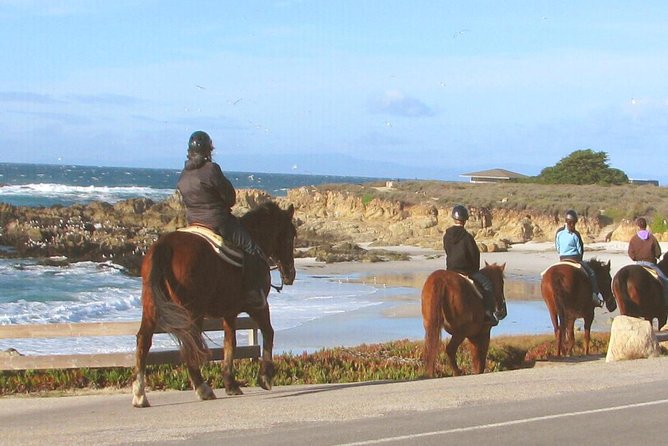 Horseback Ride & Alcatraz Prison Tickets - FAQ
