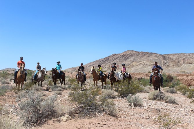 Horseback Ride in Las Vegas - The Real Experiences: Authentic Insights from Travelers