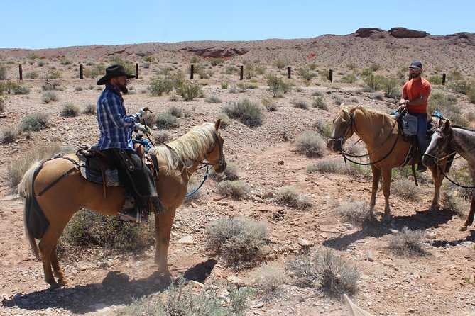Horseback Ride in Las Vegas - Who Is This Horseback Tour Best For?