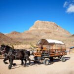 Horseback Ride Joshua Tree Forest Buffalo Lunch Singing Cowboy - Practical Tips for Travelers