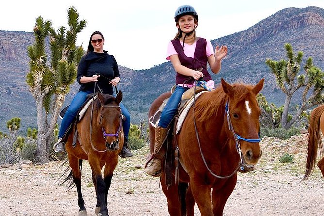 Horseback Ride Joshua Tree Forest Buffalo Lunch Singing Cowboy - Who Should Consider This Tour?