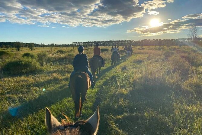 Horseback Ride on Scenic Lake Louisa Trails - Horseback Ride on Scenic Lake Louisa Trails: An Authentic Florida Adventure