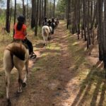 Horseback Ride on Scenic Lake Louisa Trails - What Makes This Horseback Ride Stand Out