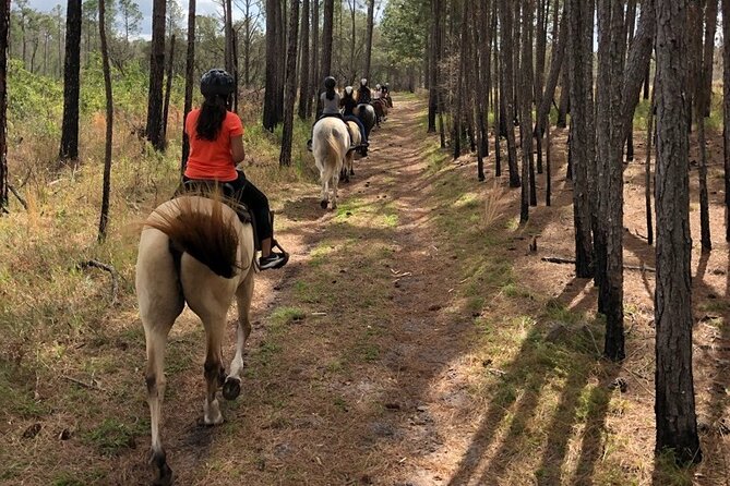 Horseback Ride on Scenic Lake Louisa Trails - What Makes This Horseback Ride Stand Out
