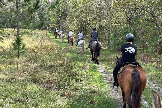 Horseback Ride on Scenic Lake Louisa Trails - The Itinerary in Detail