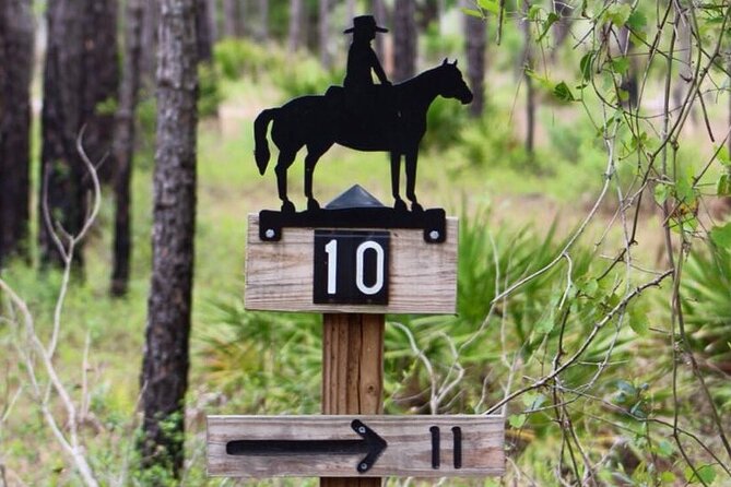 Horseback Ride on Scenic Lake Louisa Trails - What to Expect From the Experience