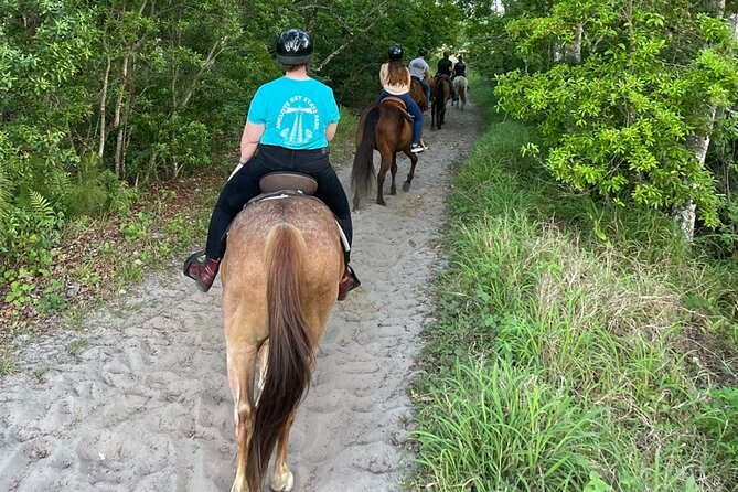 Horseback Ride on Scenic Lake Louisa Trails - The Practical Details