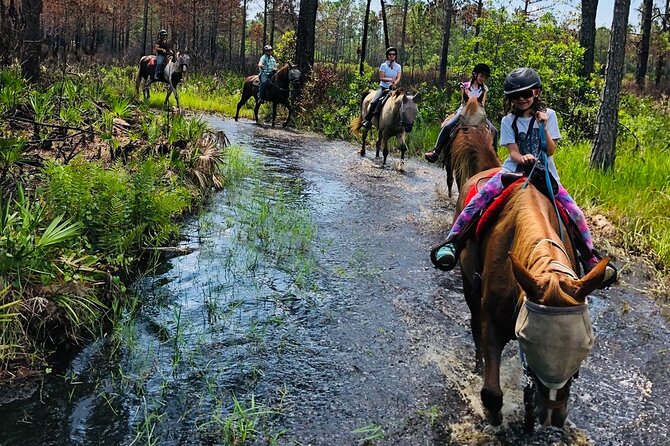 Horseback Ride on Scenic Lake Louisa Trails - Why This Tour Is a Great Choice