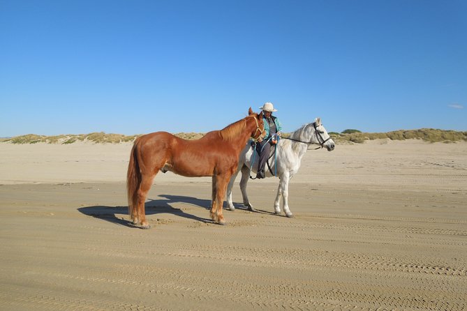 Horseback Ride on the Beach & Alcatraz Tour in San Francisco - Final Thoughts: Is This Tour Worth It?