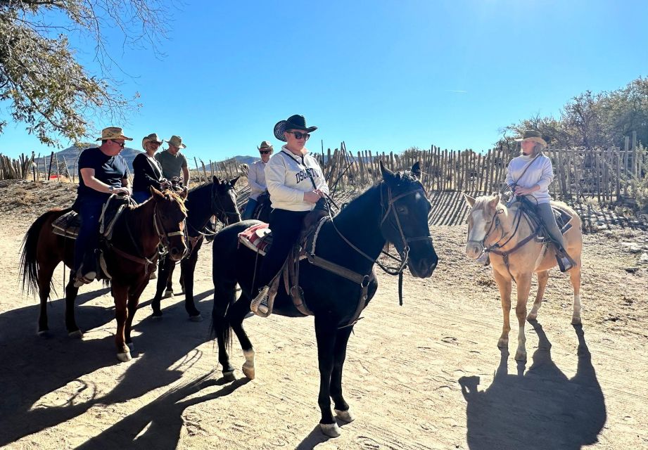 Horseback Ride thru Joshua Tree Forest with Buffalo & Lunch - What You Can Expect During the Tour