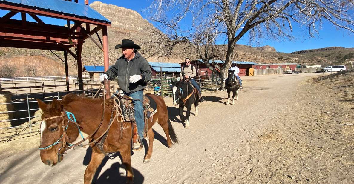 Horseback Ride thru Joshua Tree Forest with Buffalo & Lunch - Final Thoughts