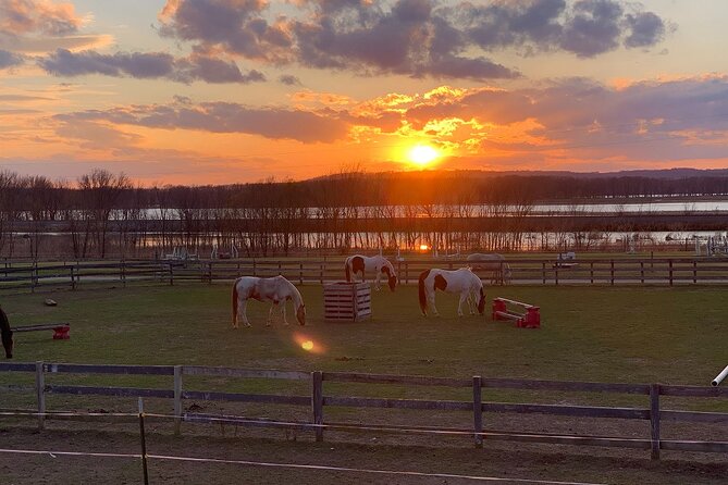 Horseback Rides, Interactions, and Petting Zoo - What Is Included in This Horseback and Animal Encounter?