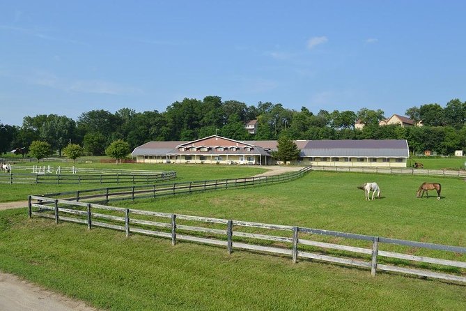 Horseback Rides, Interactions, and Petting Zoo - The Experience in Action: What You Can Expect