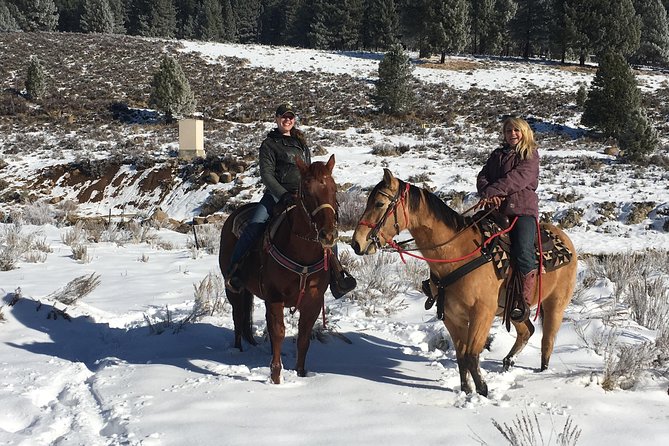 Horseback Riding Adventure from Reno - FAQs