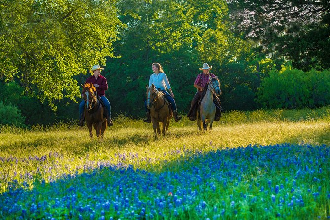 Horseback Riding on Scenic Texas Ranch near Waco - Detailed Breakdown of the Itinerary