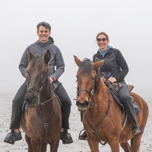 Horseback Riding On The Beach + Tapas + Photo Report - PDT - Who Should Consider This Experience?