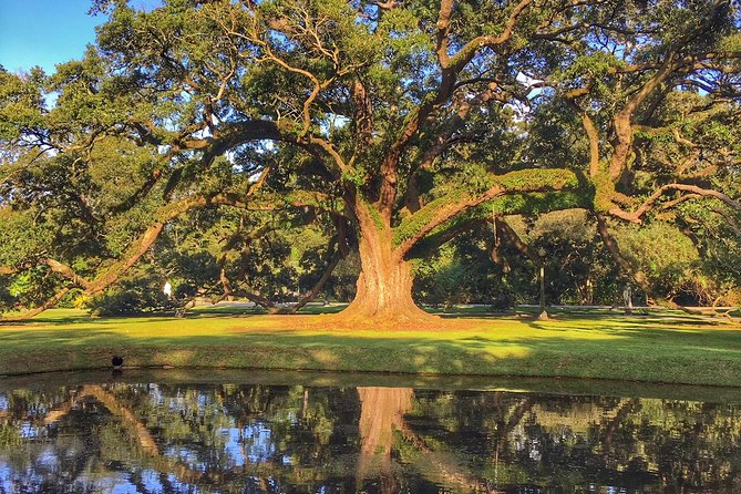 Houmas House Plantation Guided Tour - Who Should Consider This Tour?