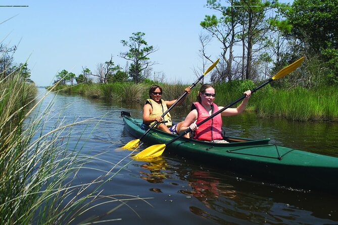 Hourly Kayak Rental in Whalebone - Authentic Insights from Reviewers