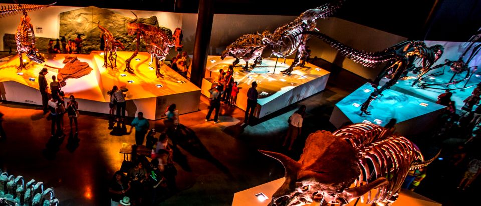 Houston: 1-Day or 3-Day Museum Pass - A Complete Look at the Museum Pass Experience
