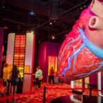 Houston: 1-Day or 3-Day Museum Pass - Final Verdict