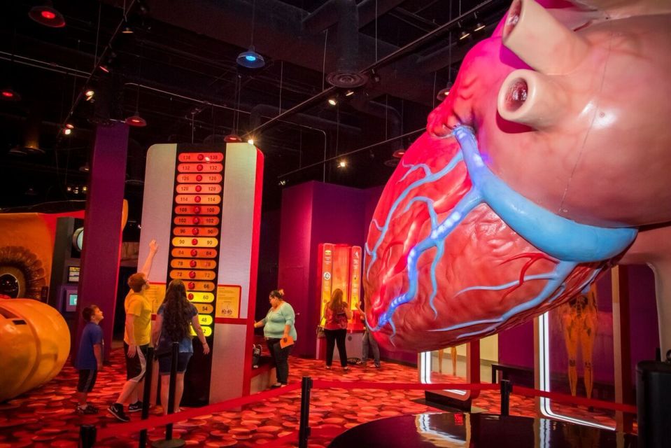 Houston: 1-Day or 3-Day Museum Pass - Final Verdict