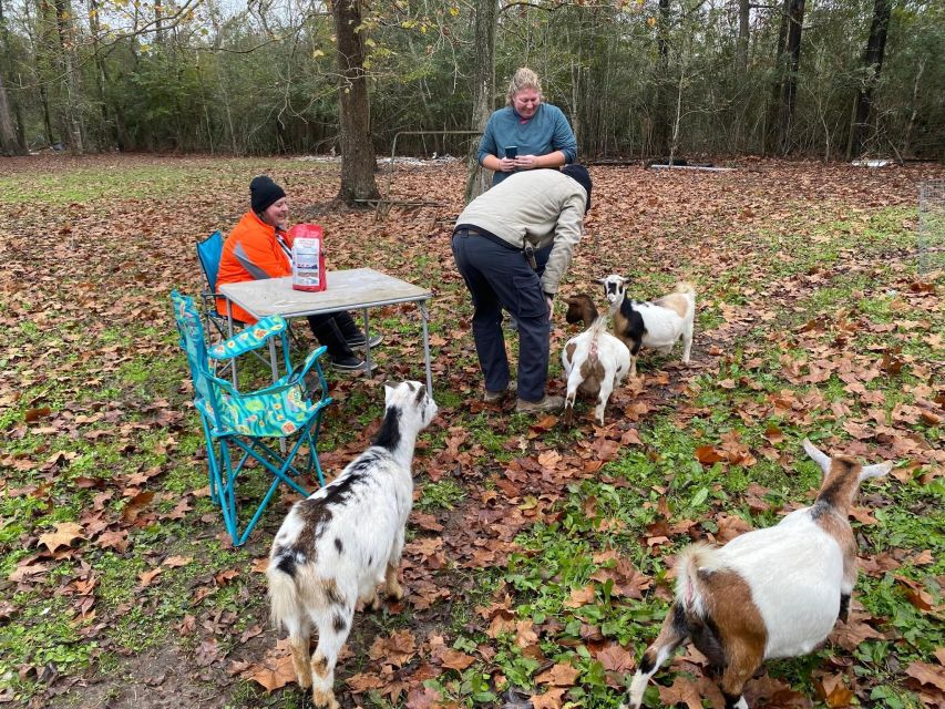 Houston: Adorable mini goats experience e - Practical Details