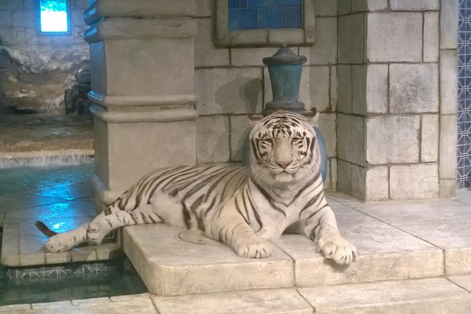 Houston City Tour and Downtown Aquarium All Rides Pass - The Downtown Aquarium Experience