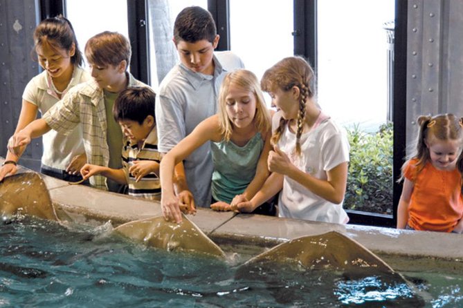 Houston City Tour and Downtown Aquarium All Rides Pass - Final Thoughts