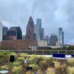 Houston Heights Culture and Food Tour - Who Should Take This Tour?