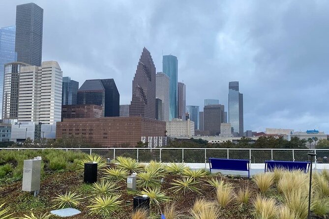 Houston Heights Culture and Food Tour - Who Should Take This Tour?