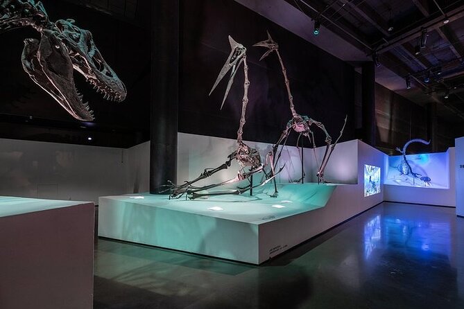 Houston Museum of Natural Science and Cockrell Butterfly Center - The Review of Real Visitors’ Experiences