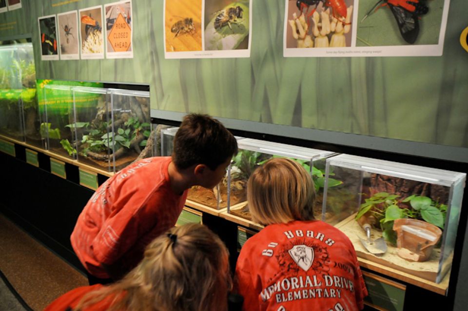 Houston Museum of Natural Science: Cockrell Butterfly Center - Practical Tips for Visitors