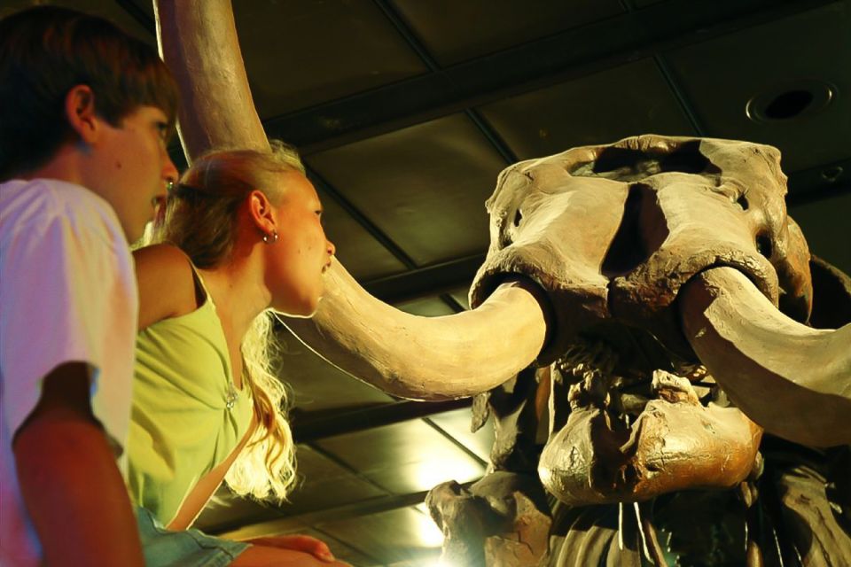 Houston Museum of Natural Science General Admission Ticket - FAQ