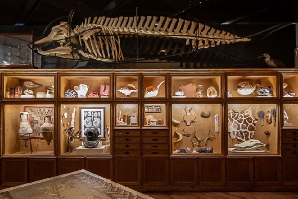 Houston Museum of Natural Science General Admission Ticket - Highlights of the Museum Experience